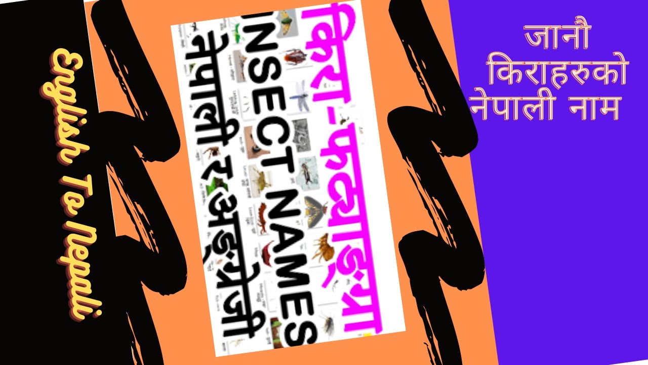 Nepali name of different agricultural insects - YouTube