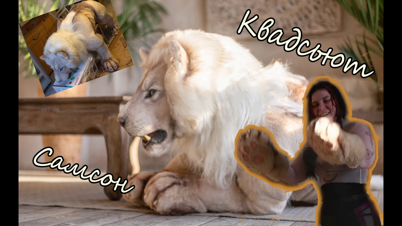 Что такое квадсьют и как это носят? What is a quadsuit and how is it ...