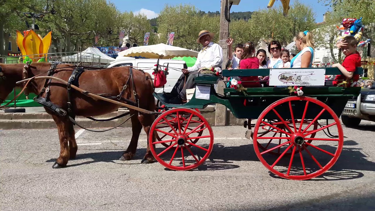PROMENADE EN CALECHE Fete de L'ane LES ATTELAGES DE LA BASTIDIERE - YouTube