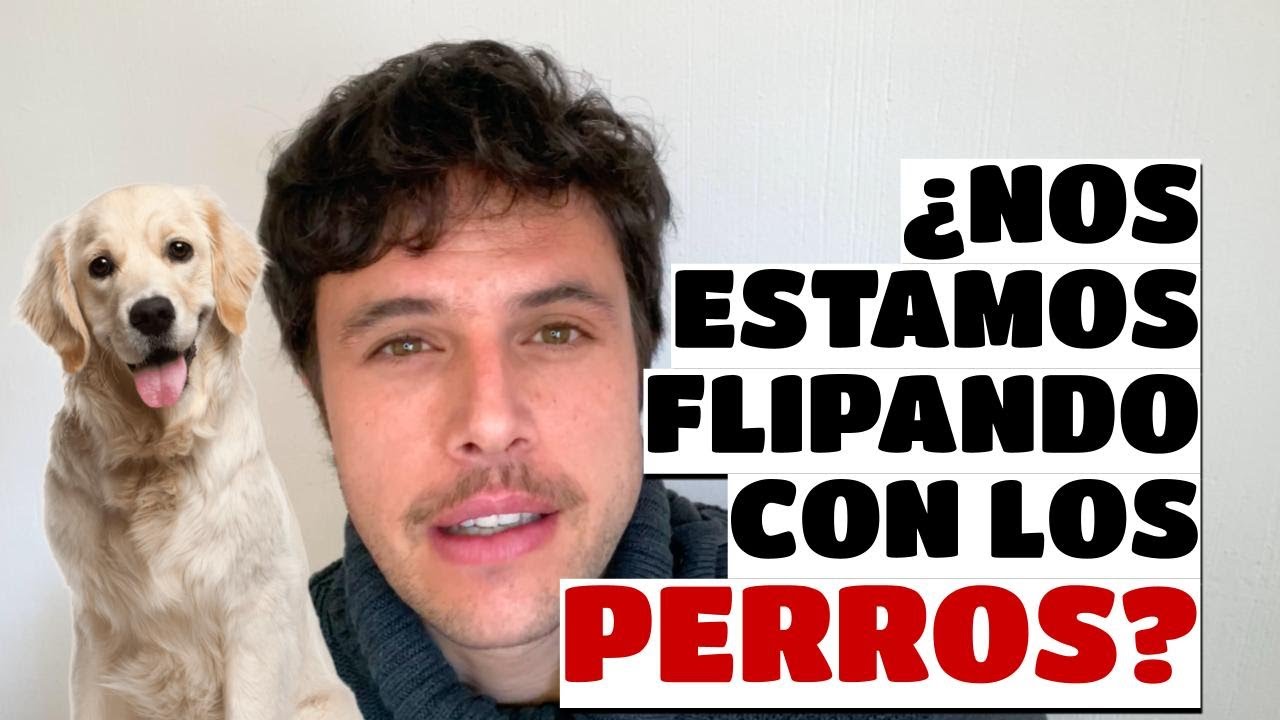 ¿Nos estamos flipando mucho con los perros? - YouTube