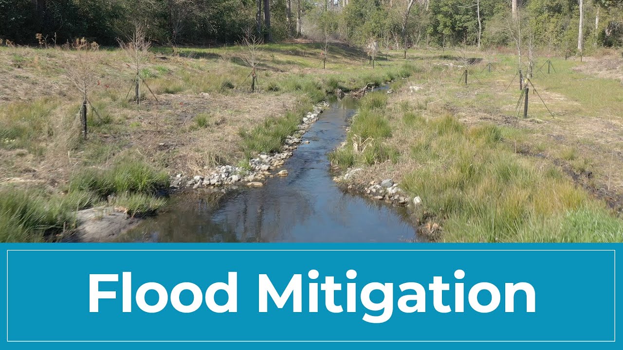 Clear Run Branch - Phase 1 Complete - YouTube