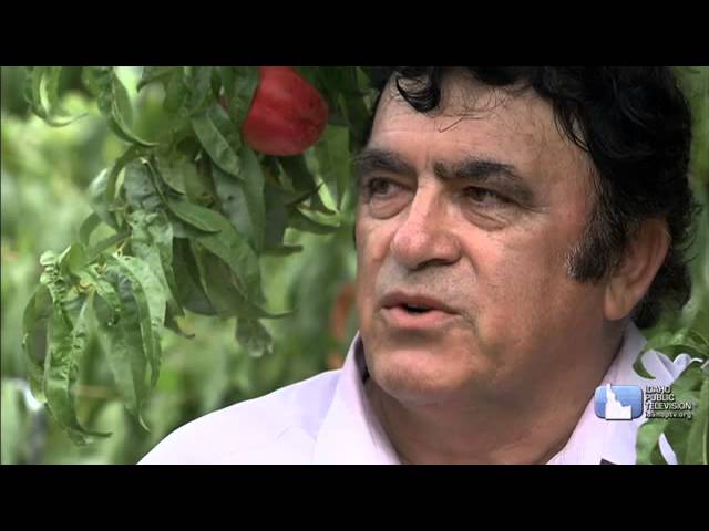 Stephen Panico's Instagram, Twitter & Facebook on IDCrawl