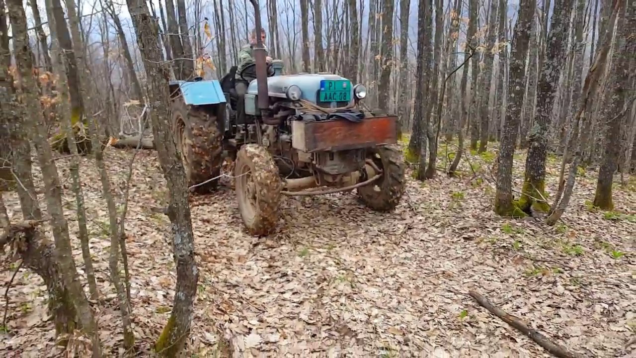 Rakovica 76 dv u sumi - YouTube