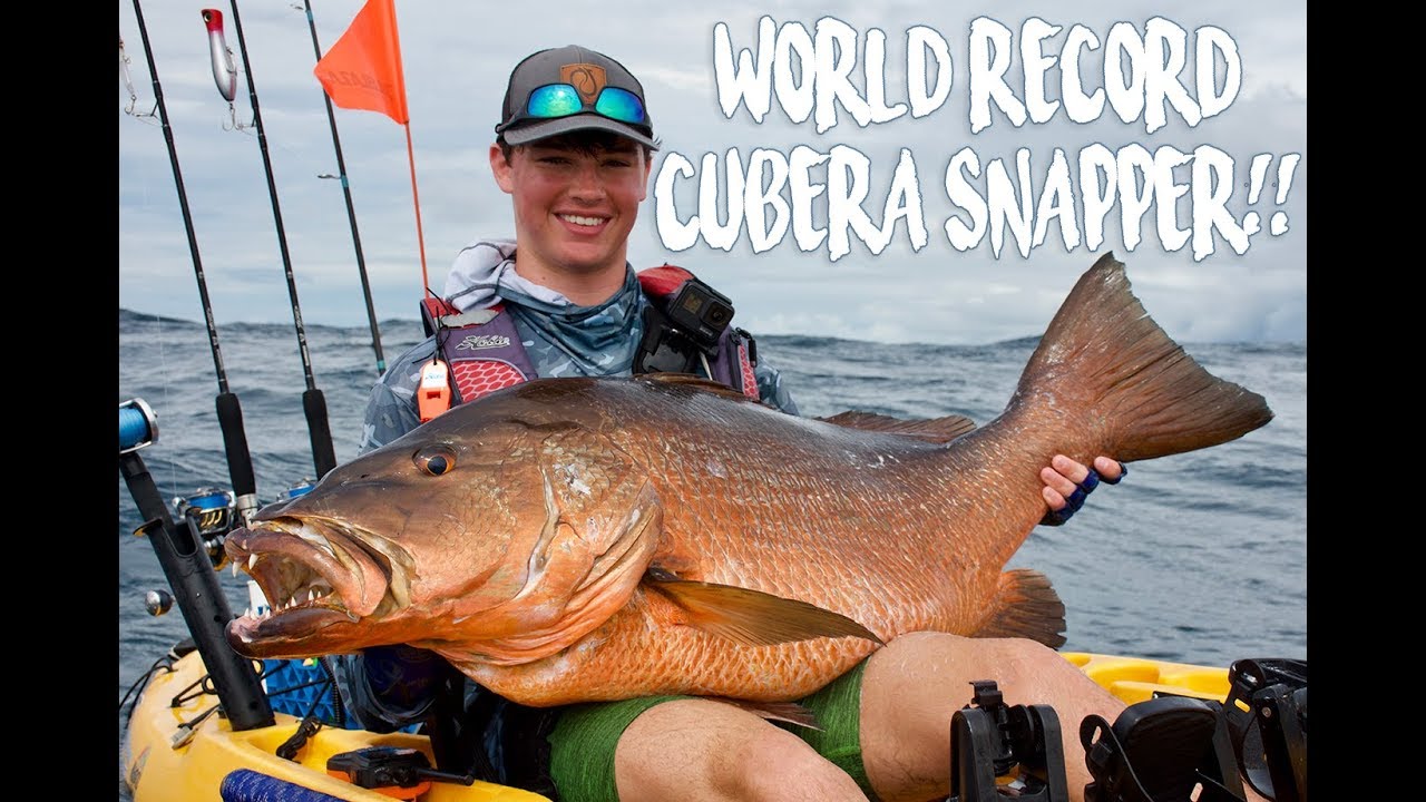 WORLD RECORD Cubera Snapper | Kayak Fishing Panama - YouTube
