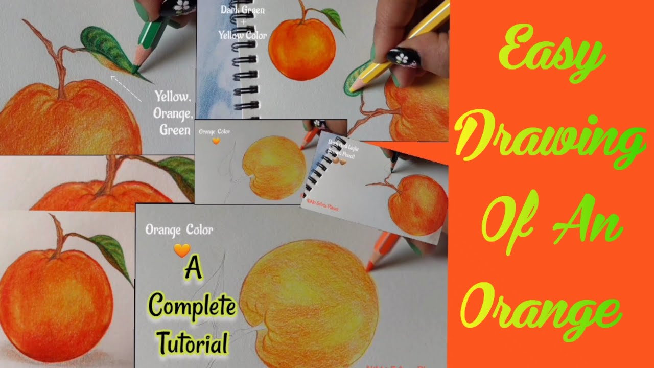 How To Draw An Orange l Simple And Easy Tutorial For Beginners l Step ...