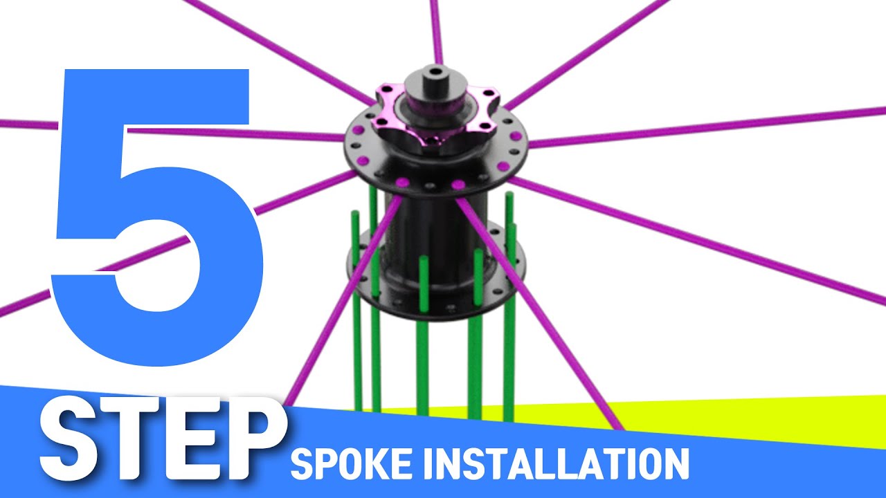 Spoke Installation Process - Wheelbuilding + eBIKE - YouTube