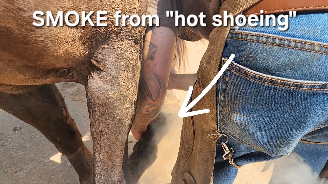 HOT Shoeing w Copper Nails for Izzy - YouTube
