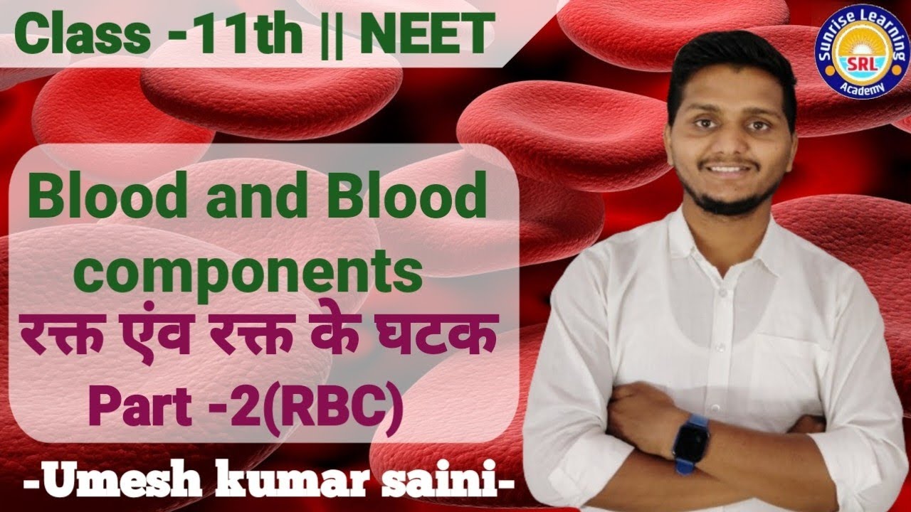 Human Physiology | NCERT | Blood | Blood components part -2 | Blood ...