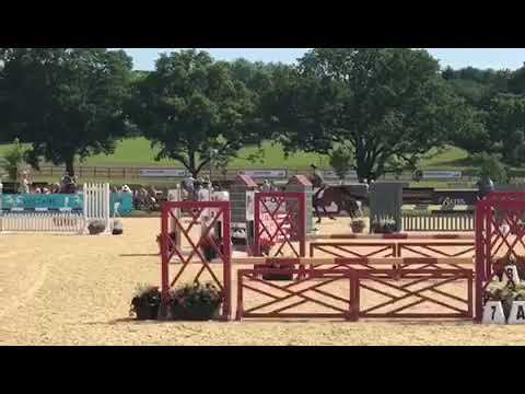 Hoki Coki jumping at Hickstead Derby show June ‘19 - YouTube
