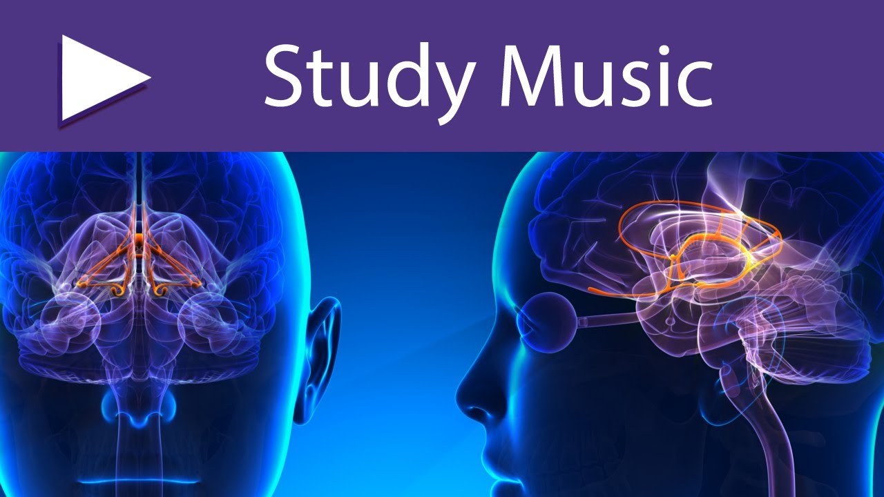 3 HOURS Focus: Mindfulness Music for Brain Power and Mind Stimulation ...