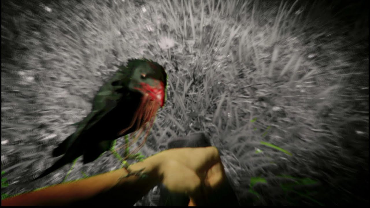 Bioshock Infinite: All "Order of the Raven" Scenes - YouTube