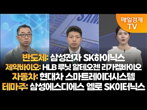 [투자의 눈] 삼성전자 SK하이닉스 /HLB 루닛 알테오젠 리가켐바이오 /현대차 스마트레이더시스템 / 삼성에스디에스 엠로 SK이터닉스 /이권희 대표, 이가람 매니저 / 매일 ...