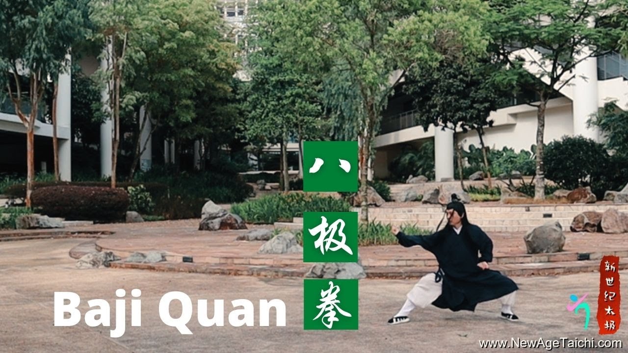 武当八极拳附加招式 Wudang Baji Quan with movement names - YouTube