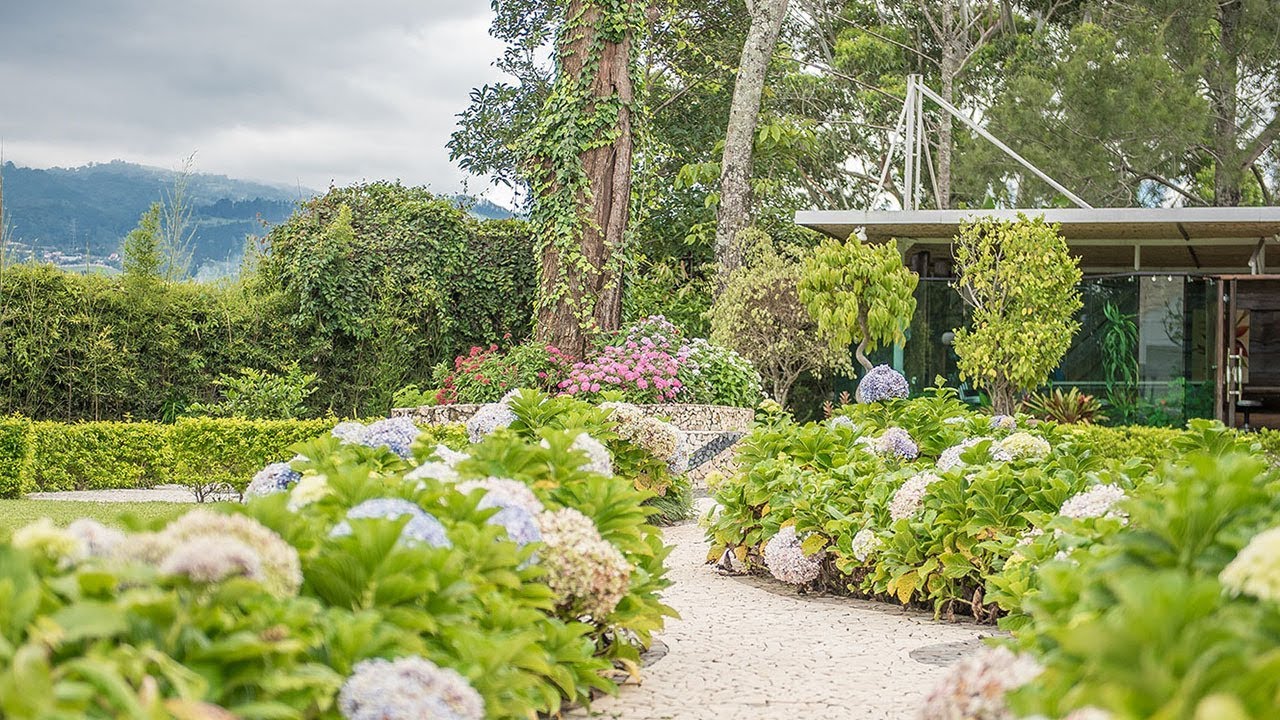 La Mia Casa in Monterán Costa Rica - YouTube