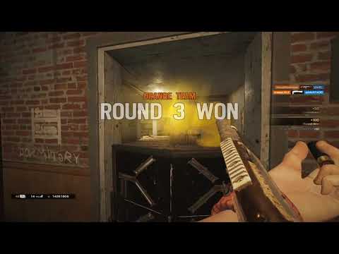 Creamy Exotic the Shotgun King