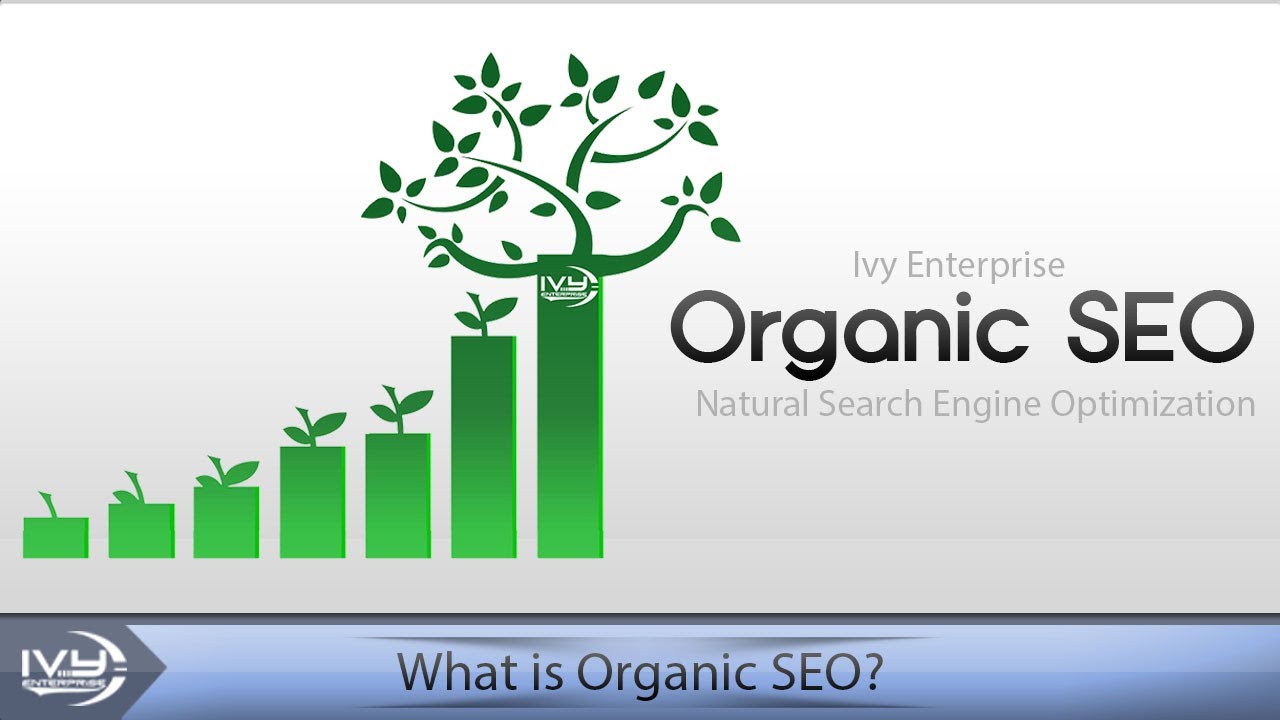 What Is Organic SEO? How Does Natural Search Engine Optimization Work ...