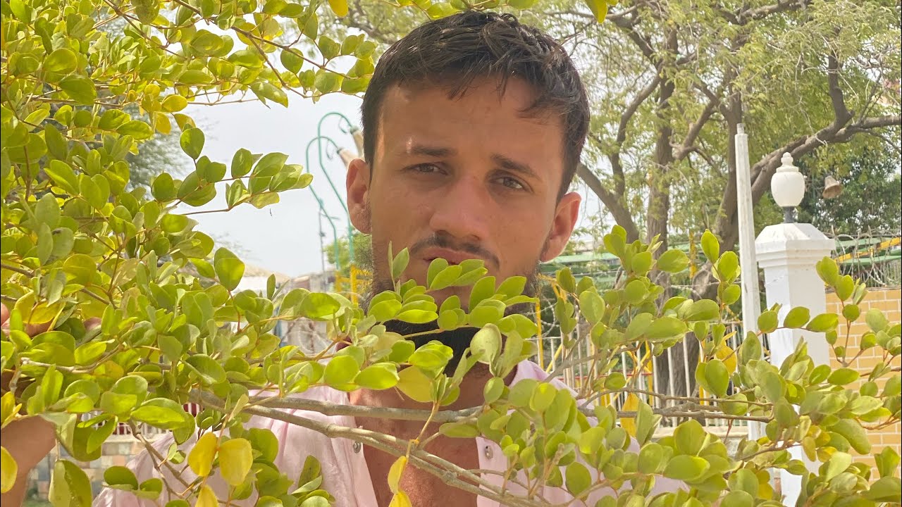 Shefre New volg @3rdk187 - YouTube