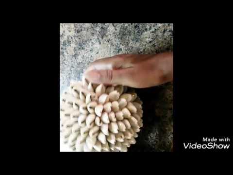 Diy home decor sea shell ball - YouTube