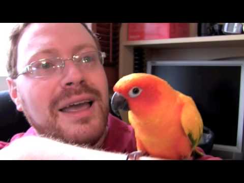 Rudy in High Def! - YouTube