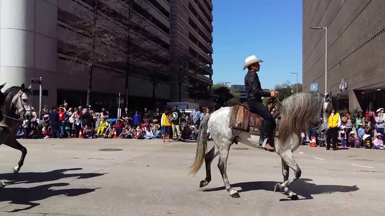 Houston Rodeo Parade 2016 - YouTube