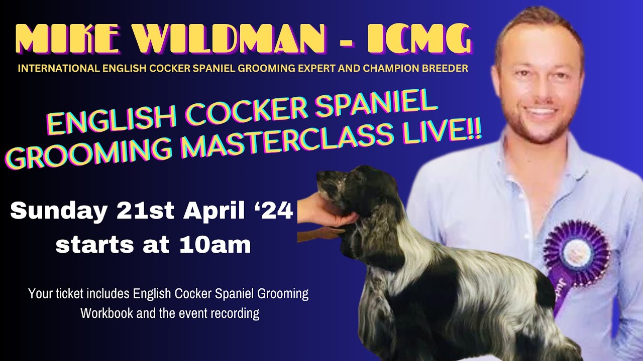 Mike Wildman's English Cocker Spaniel Grooming Demo - YouTube