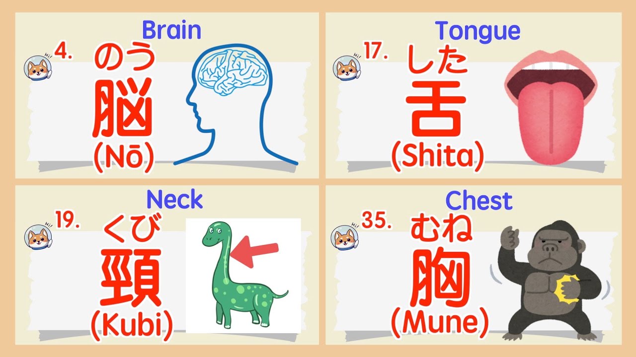 【Japanese】50 body structures in japanese - YouTube