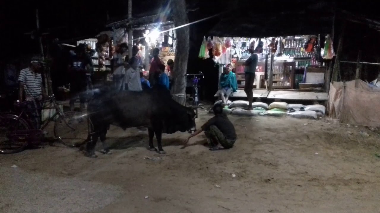 Man vs bull - YouTube