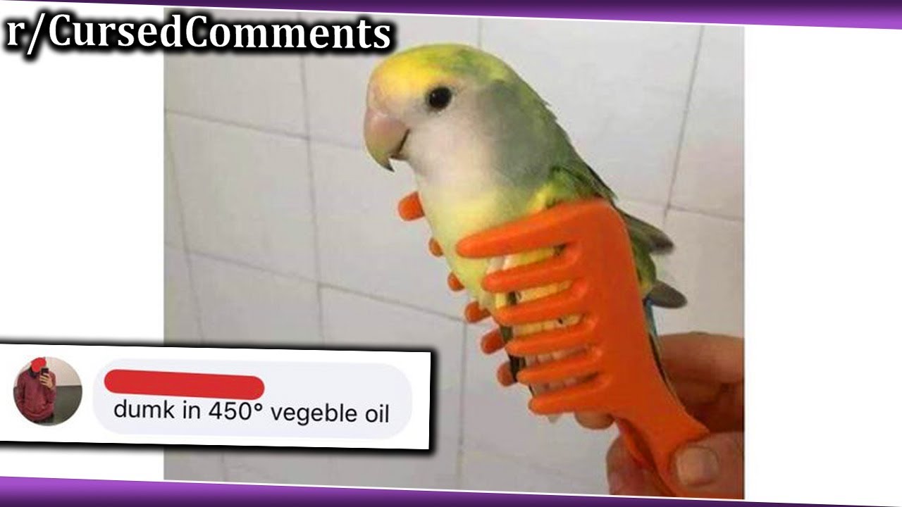 Deepfried Birb | r/CursedComments - YouTube