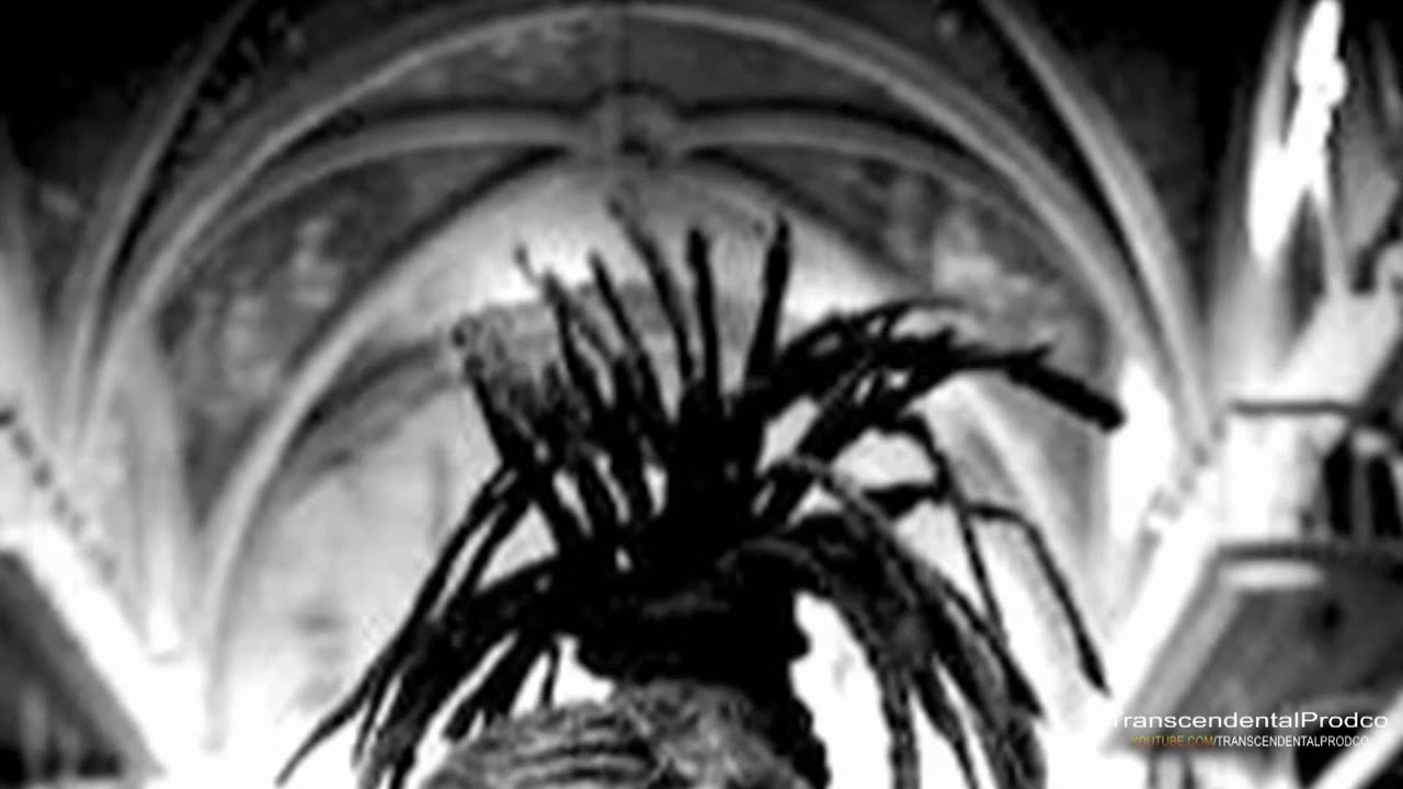 Ancient Dreadlocks - YouTube