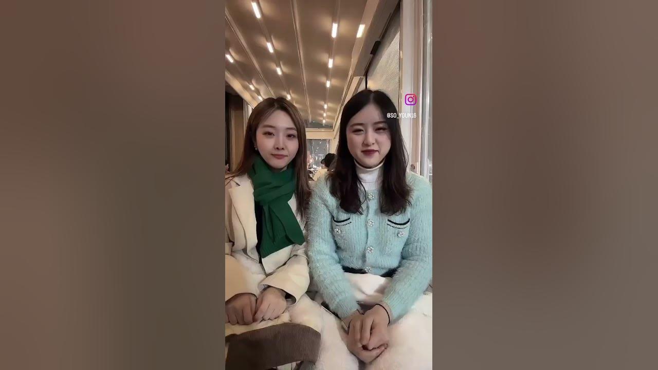 유행하는건 해봐야지 유행릴스 따라하기 릴스영상 유행 햄스터짤 햄스터릴스 귀여운릴스 귀엽다 Mz세대 Youtube