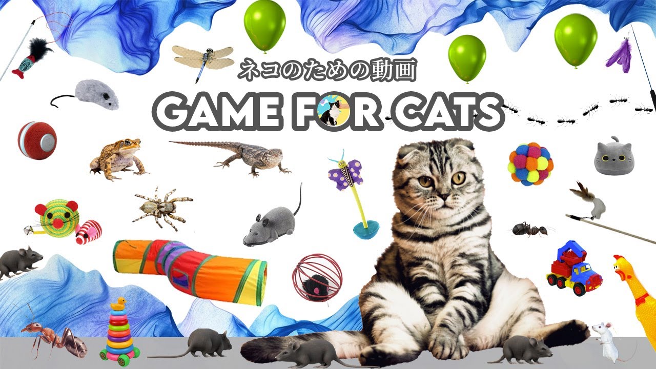 CAT GAMES | Collection of Cat Games to Help Cats Reduce Stress and Have ...