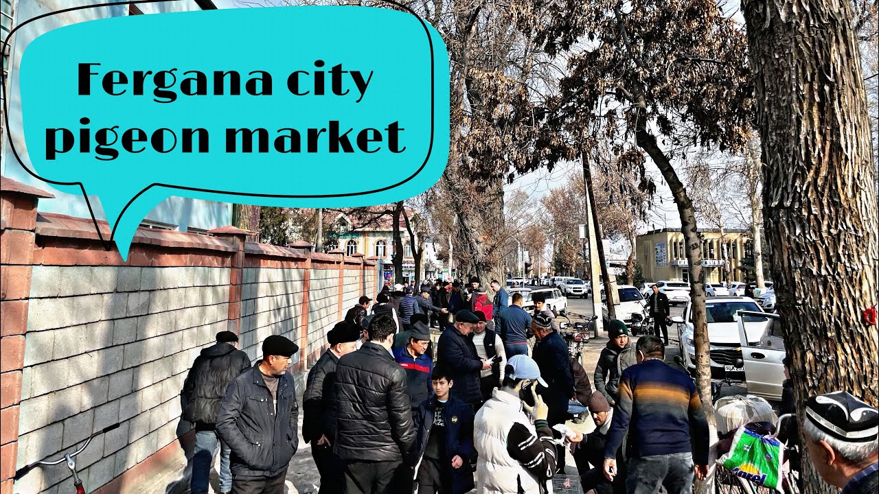 Fergana city pigeon market. (Uzbekistan) - YouTube