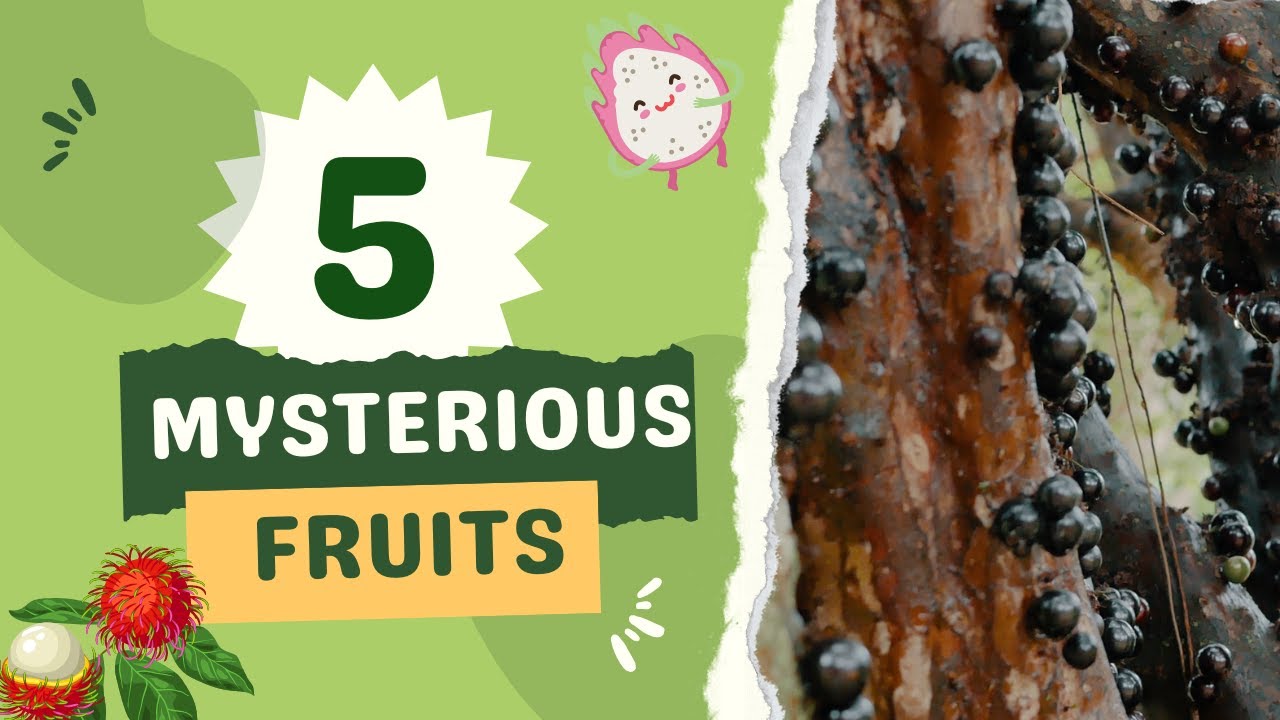 Mysterious Fruits That You have Never Seen | The Most Unique Fruits ...