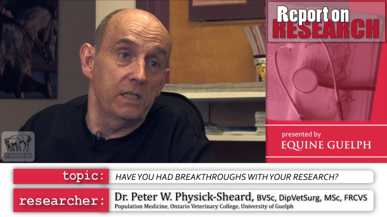 Equine Cardiology - Dr Peter Physick-Sheard - Report on Research - YouTube