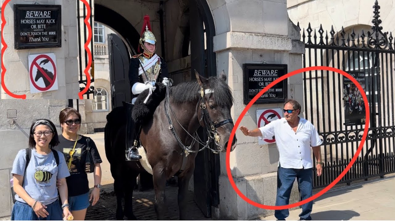 "Did the New Sign Work? Tourists React to 'No Touch' Rule!" - YouTube