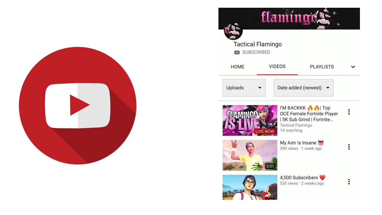 Intro for tactical flamingo - YouTube