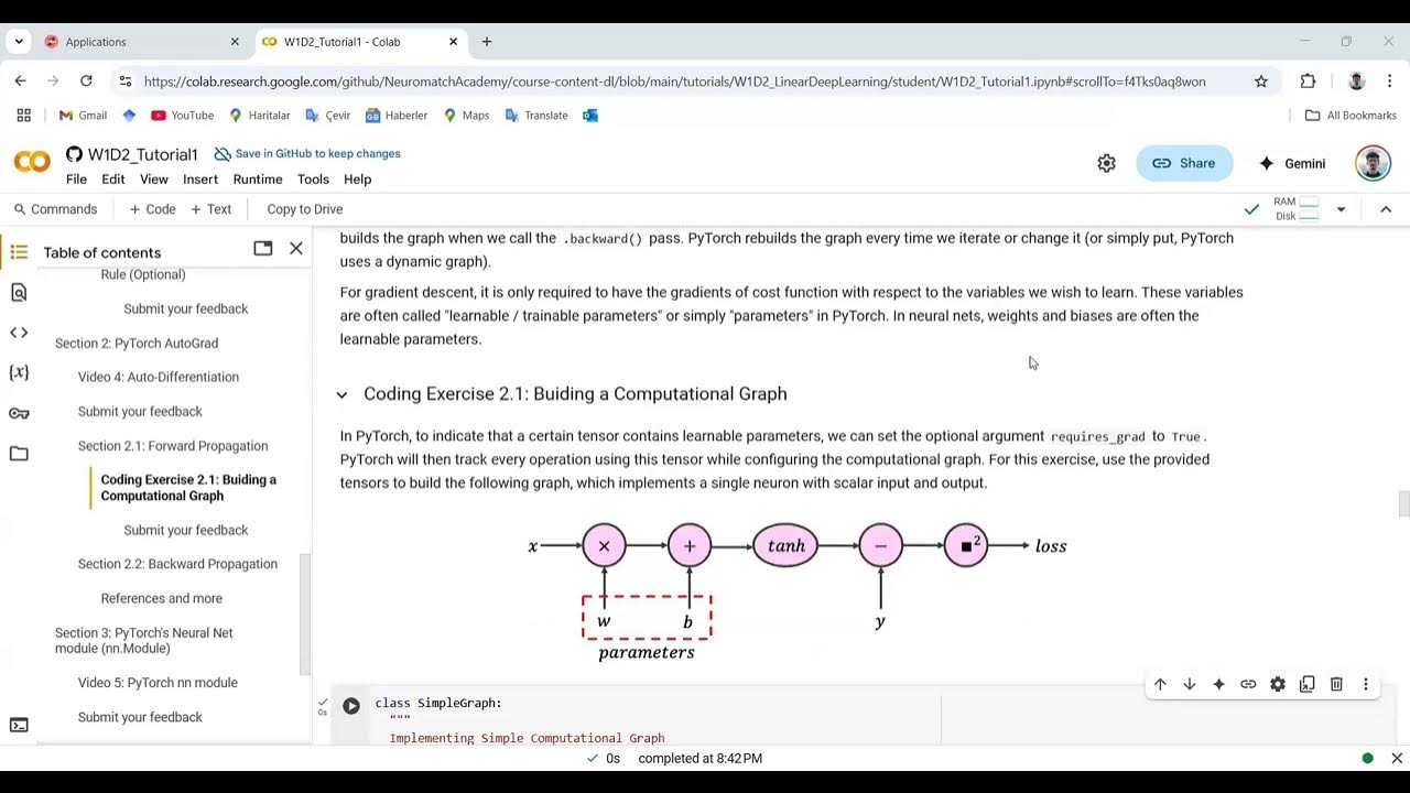 Ozgur Ege Aydogan - Neuromatch Academy - TA - Deep Learning Course ...