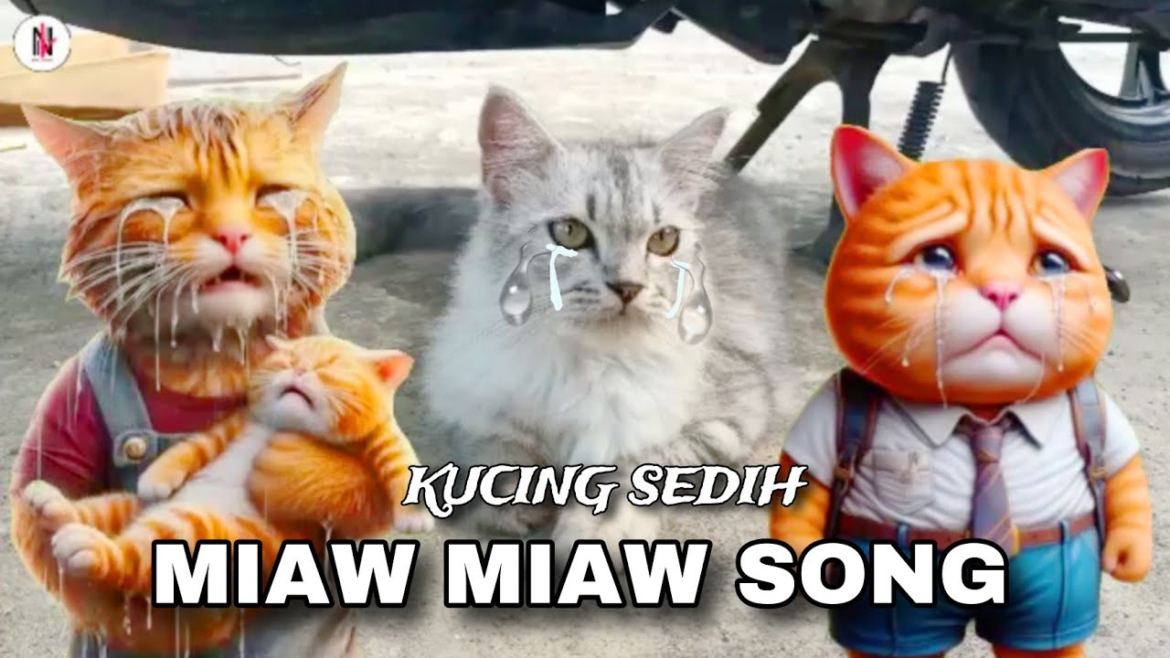 miaw miaw miaw song sad | kucing sedih | lagu kucing meong meong viral ...
