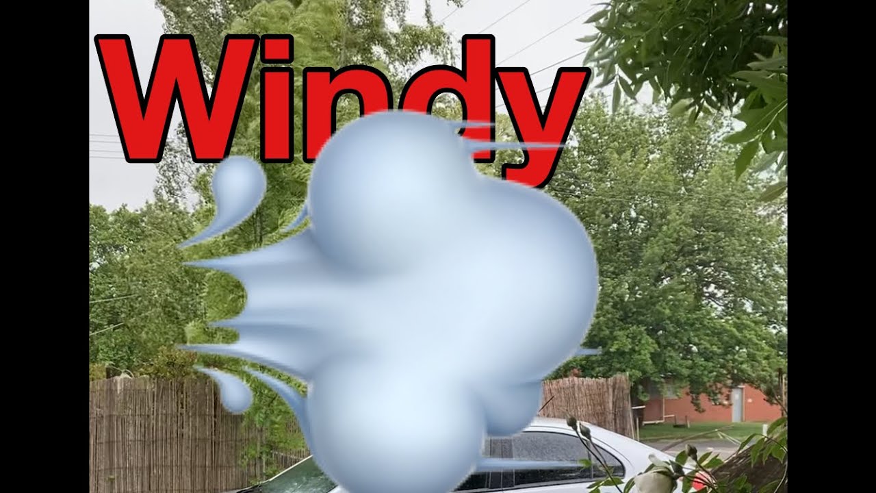 So windy it sounds like rain, for sleeping - YouTube