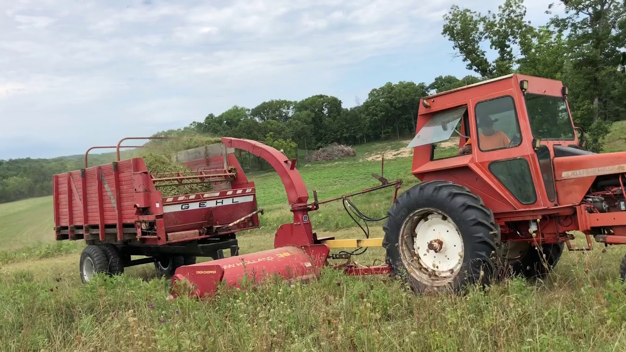 Allis Chalmers Chopping Haylage with New Holland Flail Chopper - YouTube