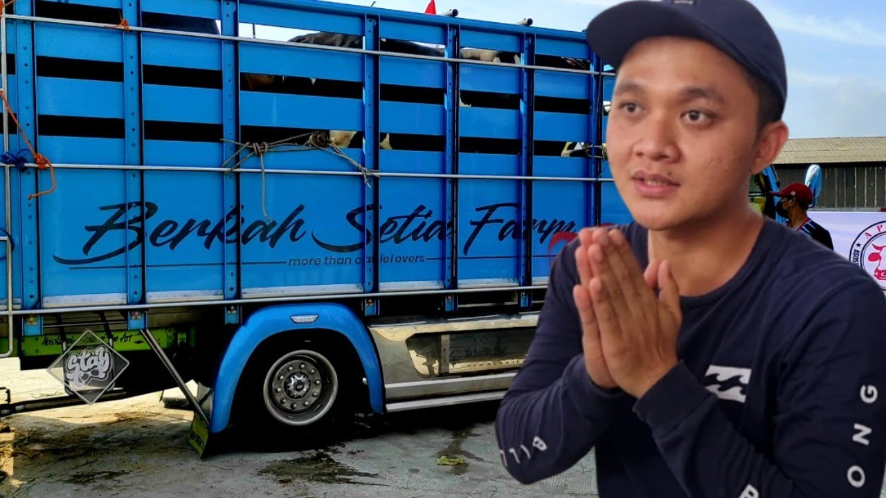 Sapi Setia Farm Condrosimo, Gaplo, Roni Lam-lam Dll, Ikuti kontes APPSI ...