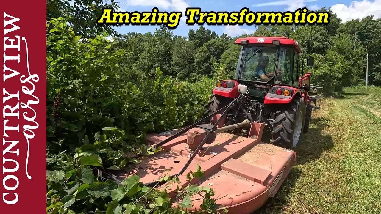 Clearing out overgrown Fence line. The Grapple and Rotary cutter make ...