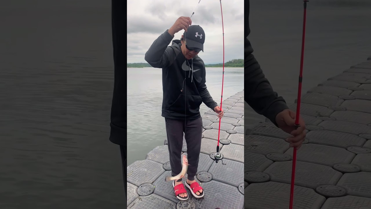 Catching Fish at Hasse Lake Alberta Canada ||Relaxing Place with ...