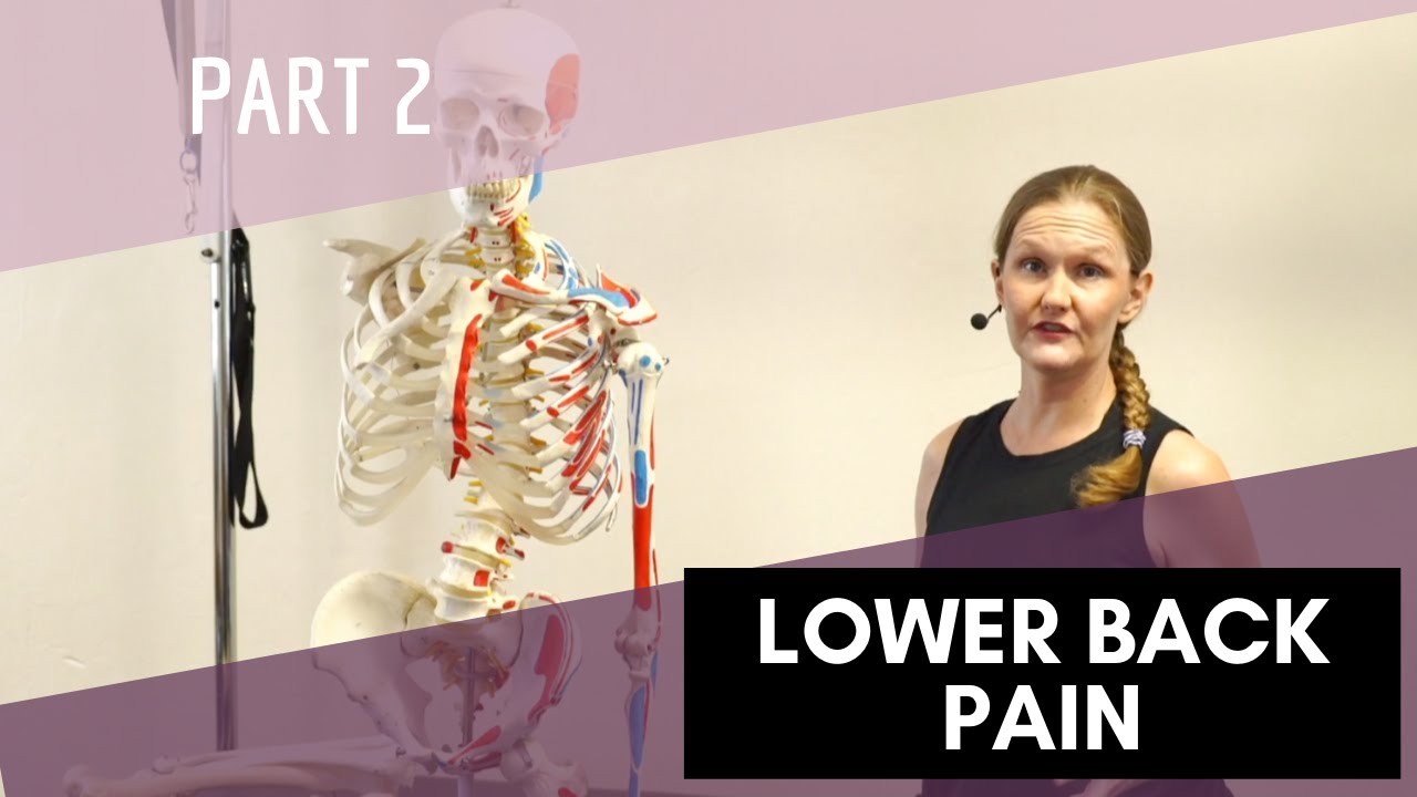 Lower Back Pain- Tight Hamstrings- Muscle Atrophy- Herniated Disks- Abs ...