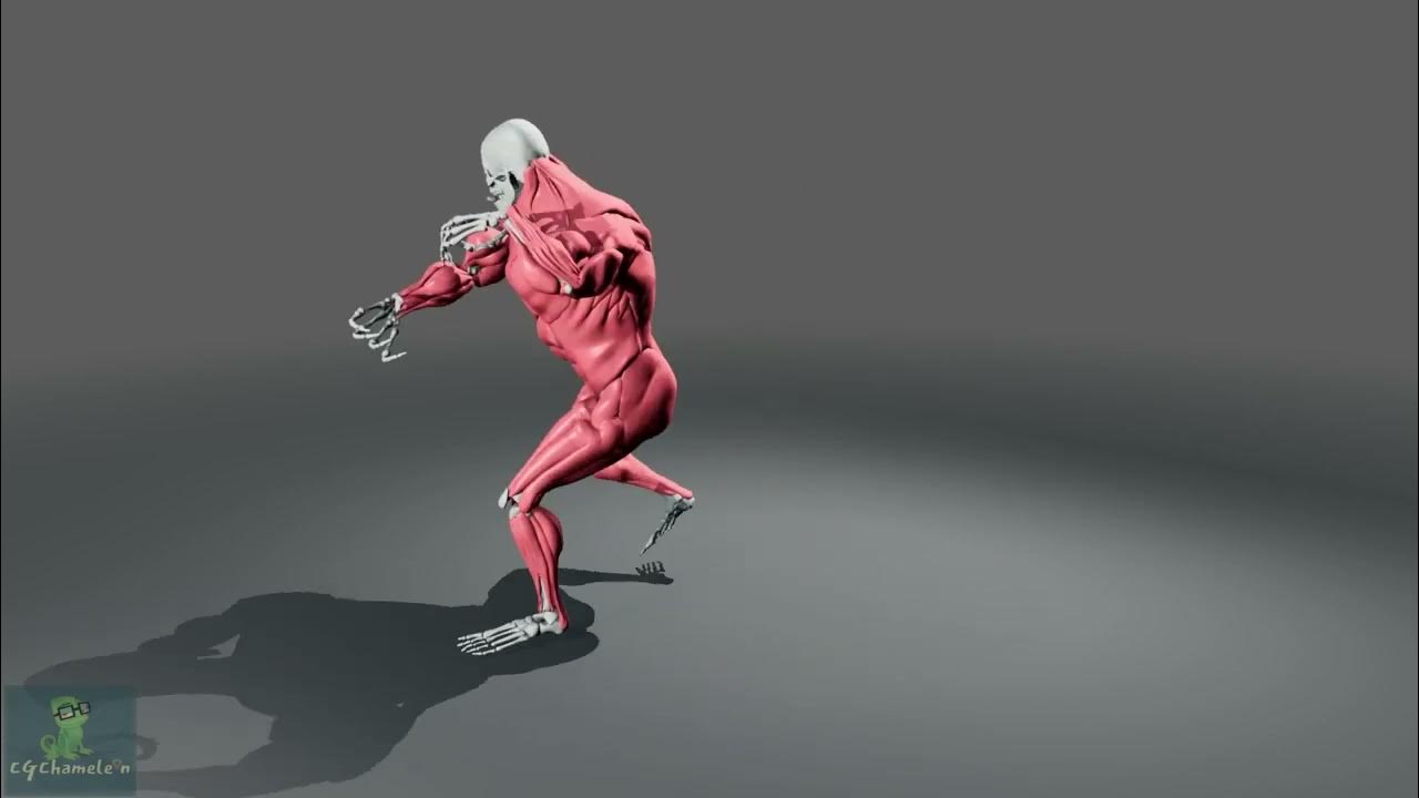 The Complete guide to ZIVA Dynamics - YouTube