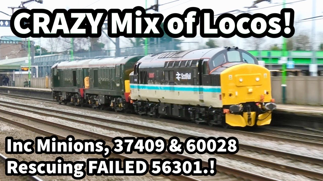 NINE Loco Types! Including SCOTRAIL 37409, Minions, 60028 Rescue of ...