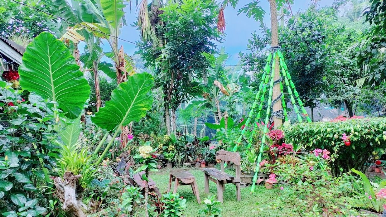 PAGPAPALAGO NG HALAMAN ITUTURO NG MOTHER NA PLANTITA//IDEA PAPAANO ...