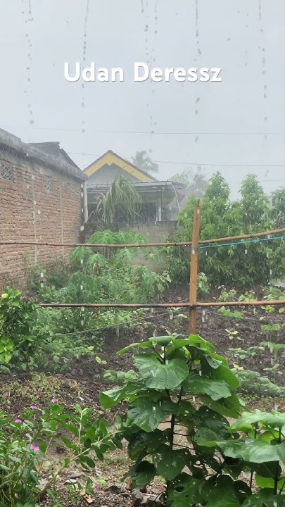 Udan Deres #shorts - YouTube