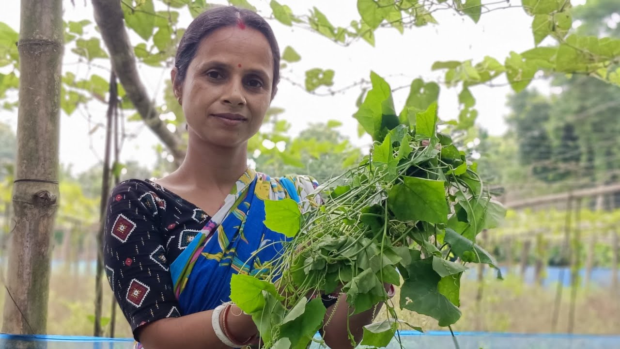 গ্রাম্য তেলা কচু শাক রান্না|tela kochu shak recipe|village food|bengali ...