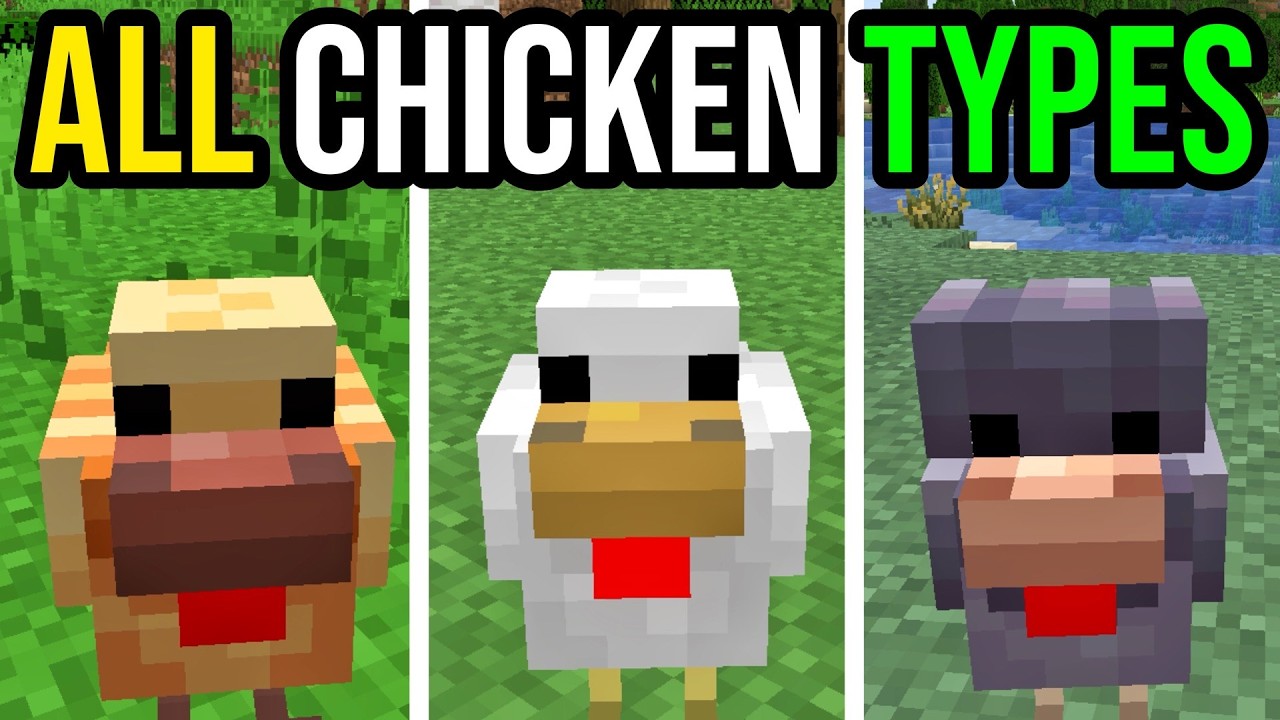 How To Find EVERY Chicken Variant In Minecraft! - YouTube